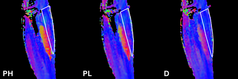 Brandon Cunnane | brandon.cunnane@gmail.com